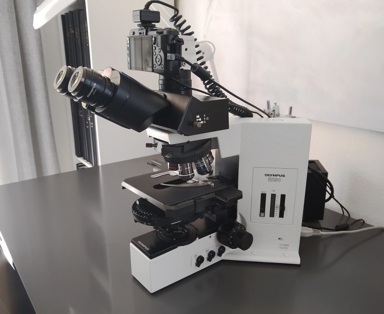 Olympus BX50 – Real Micro Life