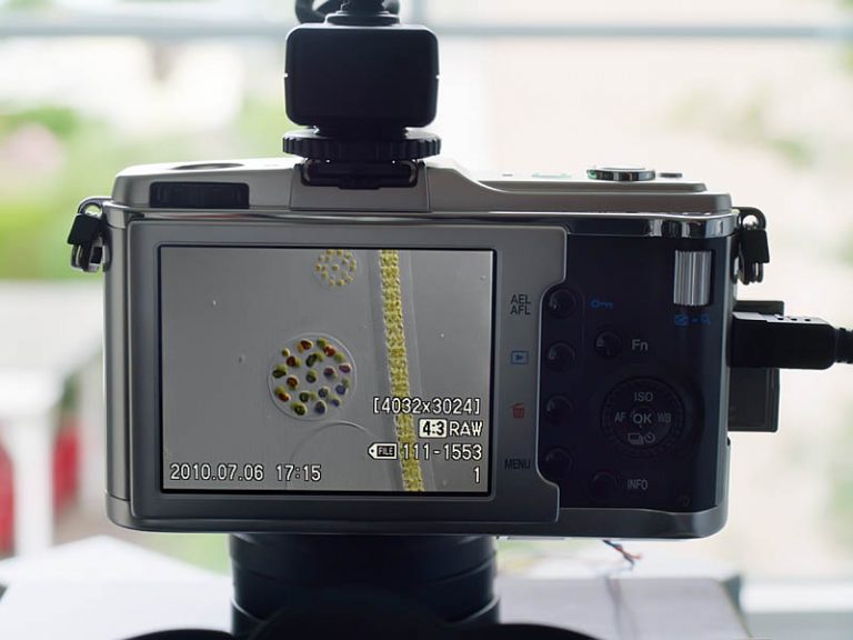 Olympus BX50 – Real Micro Life